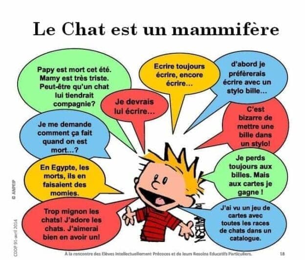 Pensée en arborescence • Caractéristiques du Haut Potentiel Intellectuel • Rencontre Surdoué